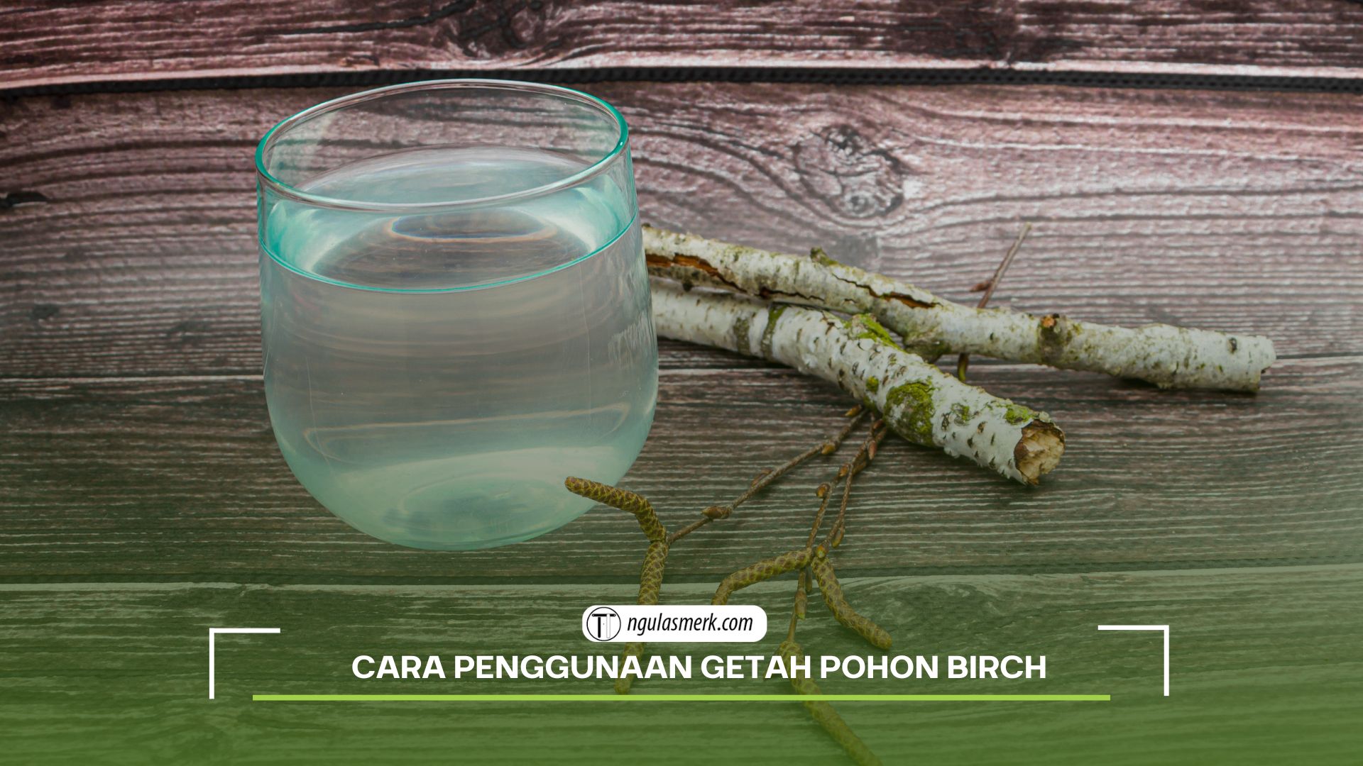 Mengungkap Manfaat Getah Pohon Birch: Temukan Ragam Elemen Berguna ...