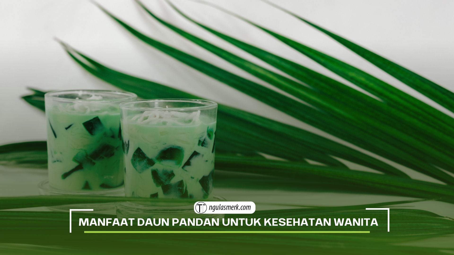 Kenali Lebih Dekat Manfaat Daun Pandan Untuk Kesehatan Wanita ...