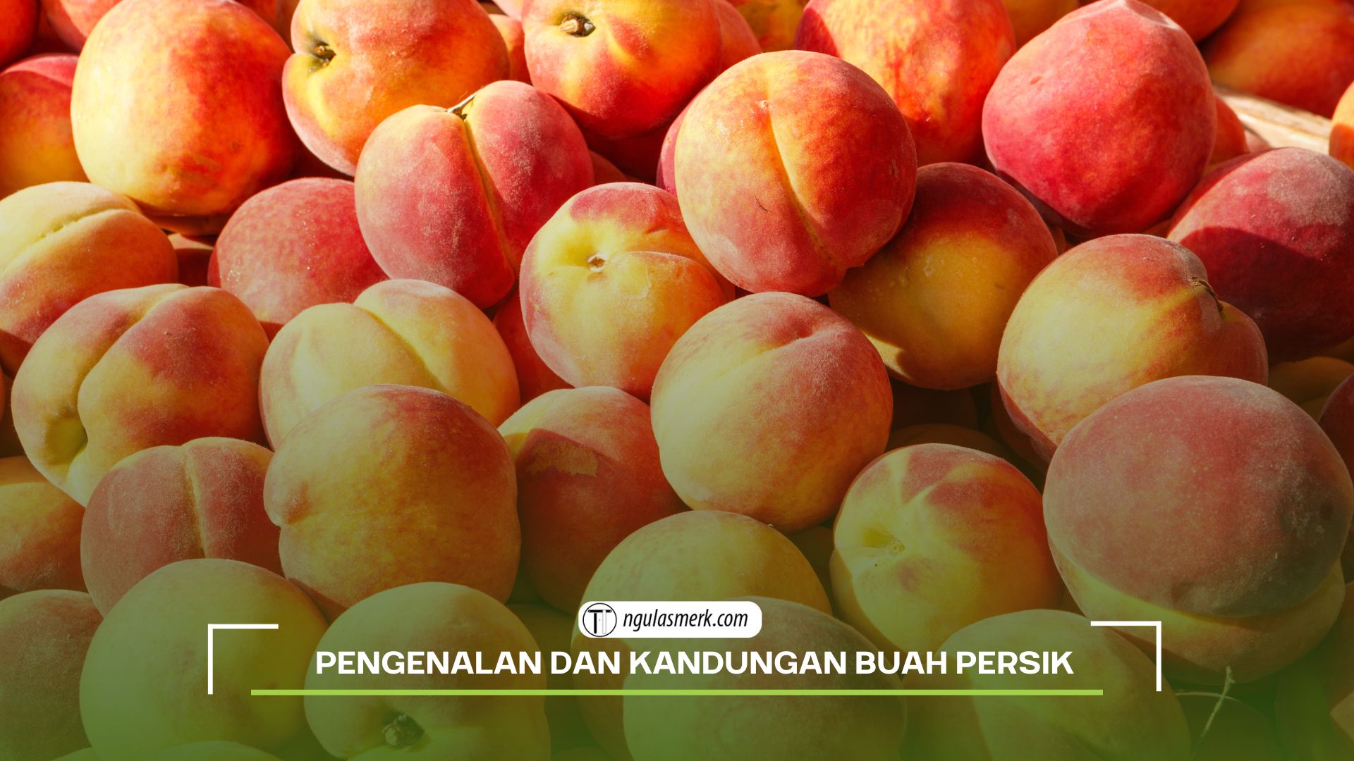Anda Akan Terkejut dengan Manfaat Buah Persik Ini! Cari Tahu Disini ...