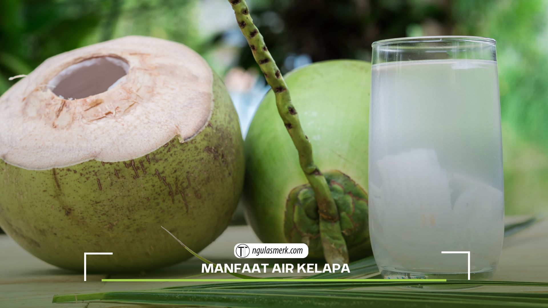 Dapat Meningkatkan Kesehatan Jantung, Kenali 10 Manfaat Air Kelapa Untuk Kesehatan Anda ...