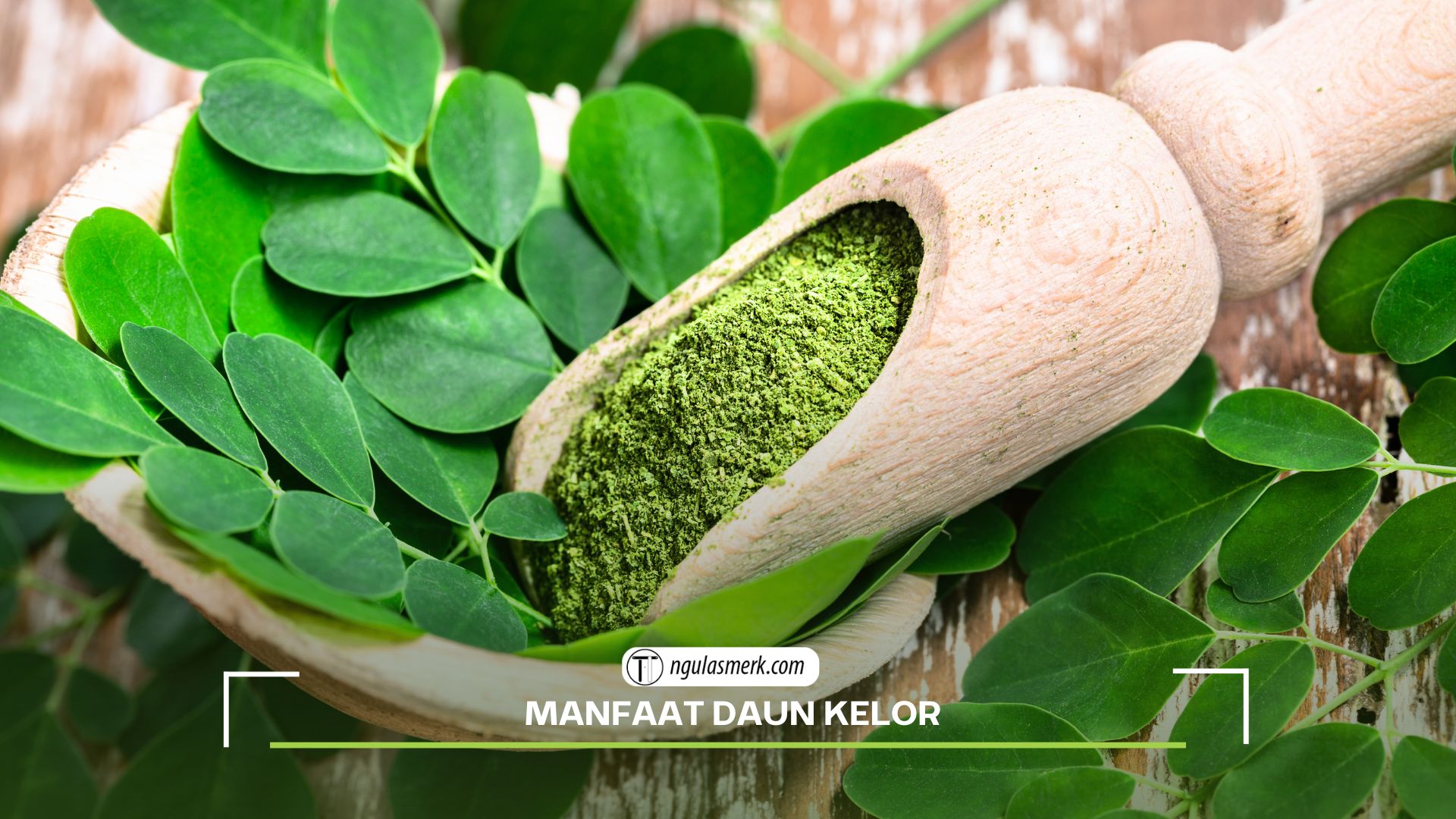 Dapat Menurunkan Kadar Gula Darah, Ini Dia 7 Manfaat Daun Kelor untuk ...