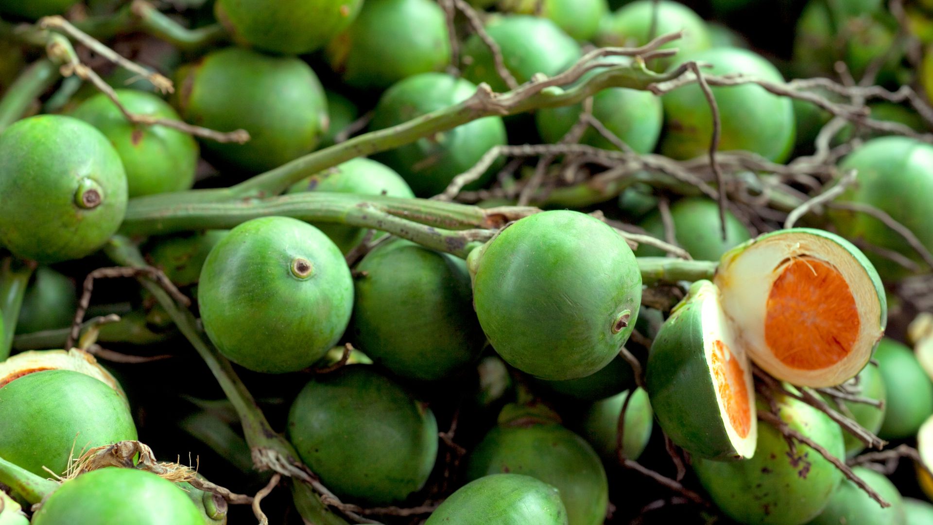 Pelajari Manfaat Jus Pinang Muda untuk Energi dan Kesehatan: Solusi ...